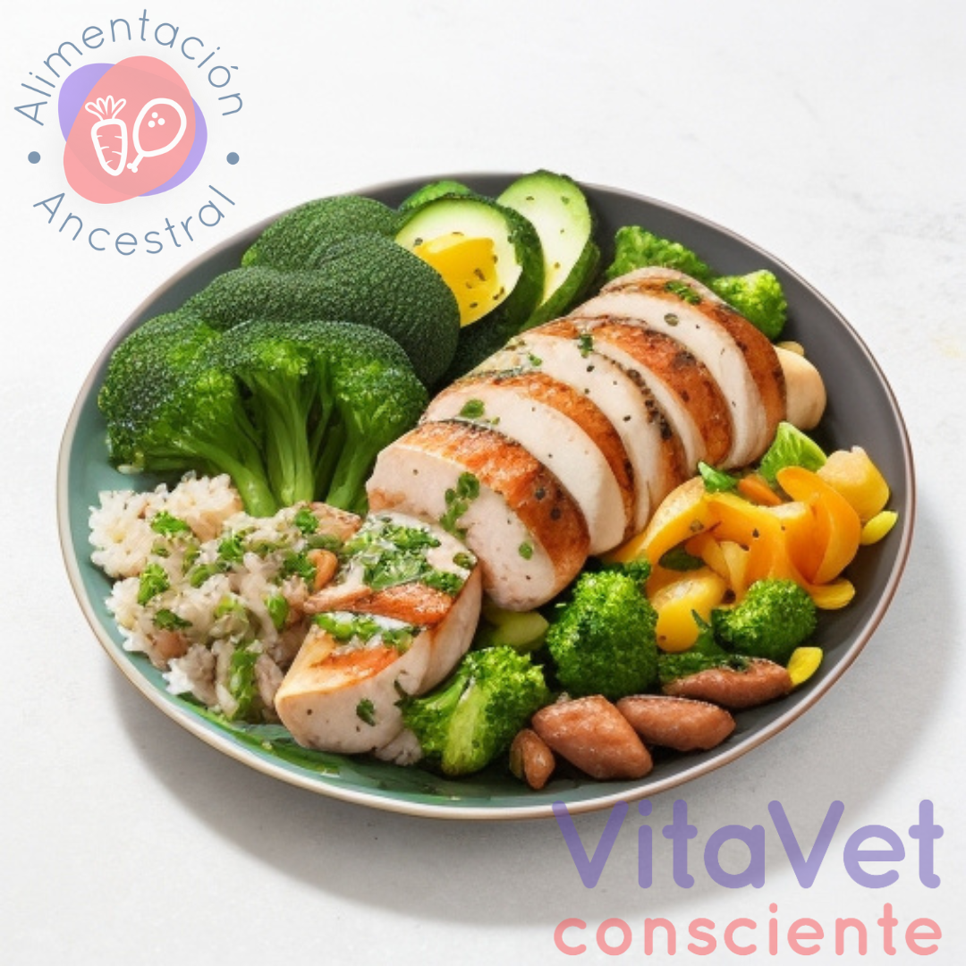 Cuida la alimentación de tu perro: ¡lo que come importa! - Vitavet